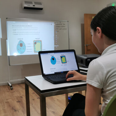 About us - Mill House School