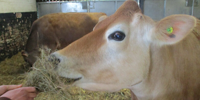 Trip to Sheldon Country Park - 7 April 2022 - Mill House School